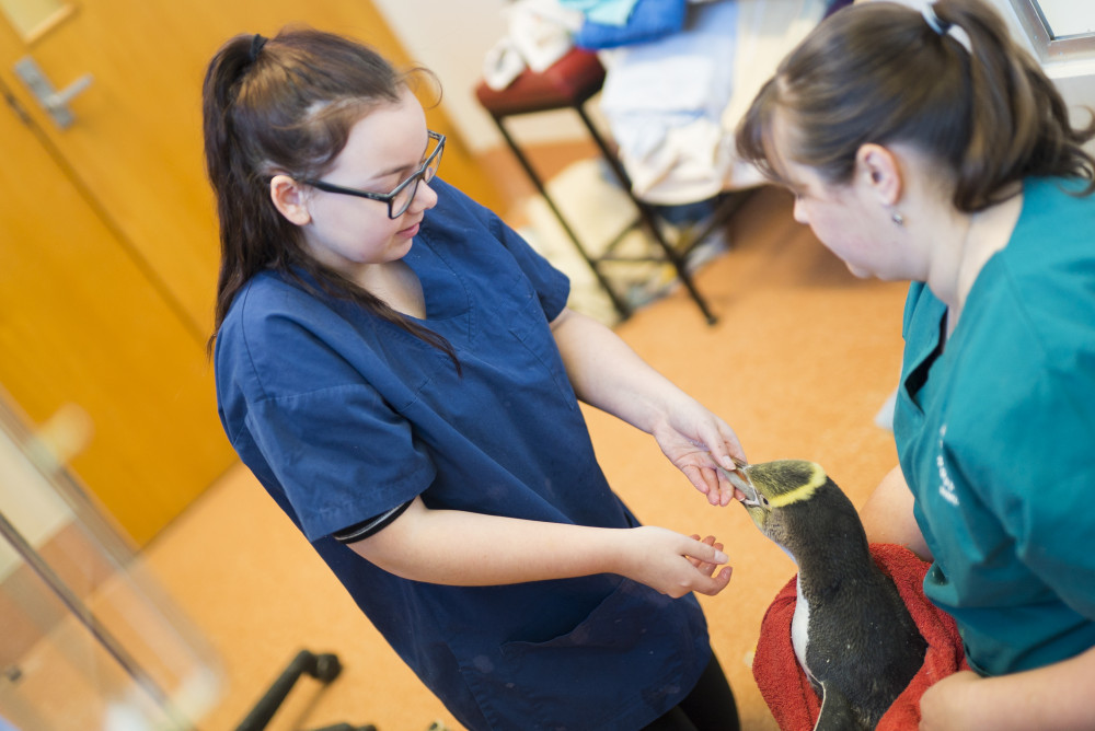 Maddy Kelly - Otago Polytechnic